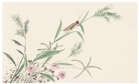 燕麦螽斯 仿景卿画 水墨芥子园