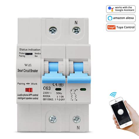 Tuya Smart Wifi Circuit Breaker With Metering 2p 16 63a 80 100a