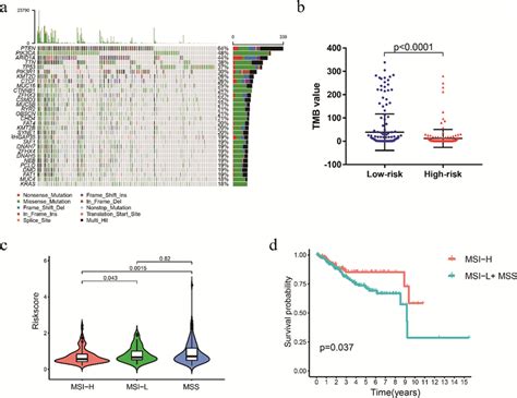 Association Of The Prognostic Signature With Tmb And Msi Status A