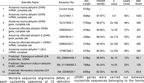 Homology Of Nucleotide Sequences For Nine Selected Accession Lists And Download Scientific