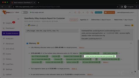 Find The Largest Python Objects Or Values Taking The Most RAM Using OpenResty XRay OpenResty
