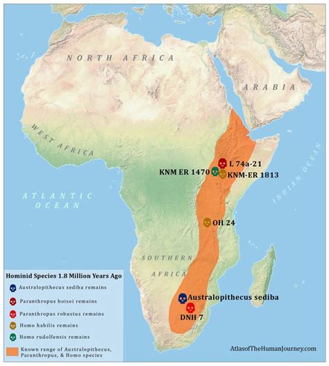Australopithecus Map Hominid Species Map Prehistoric Age