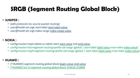 Segment Routing Session1pdfsegment Routing Session1pdf Computer Networking Computing