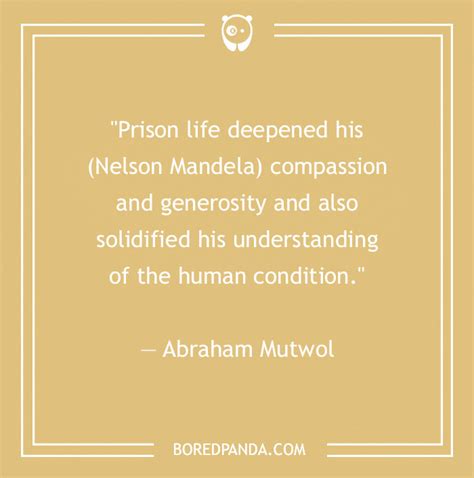 156 Compassion Quotes That Might Restore Your Faith In Humanity