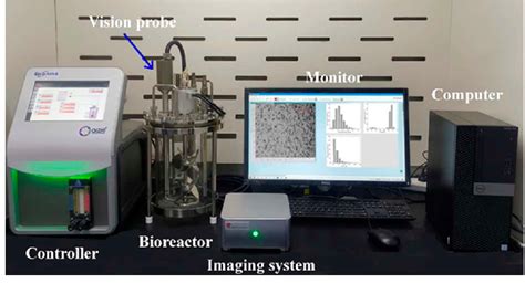 Figure 2 From Machine Learning And Deep Learning Strategies For Chinese