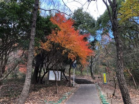 極寒の屋島 JK徒然日記