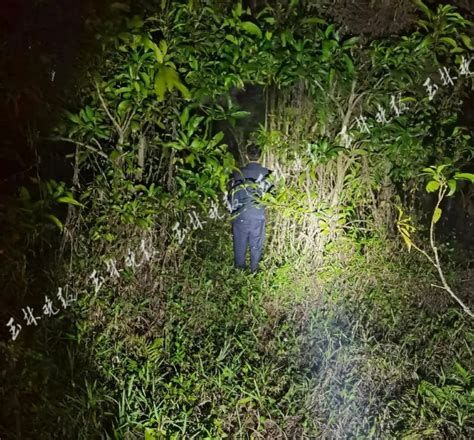 男子深夜外出寻狗迷路，民辅警巧用微信功能找到他