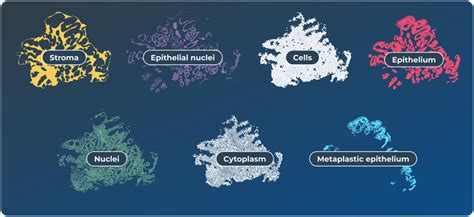 Tissuecypher How It Works Castle Biosciences