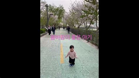 떨어지는 벚꽃 아래에서 춤추는 아이 Youtube