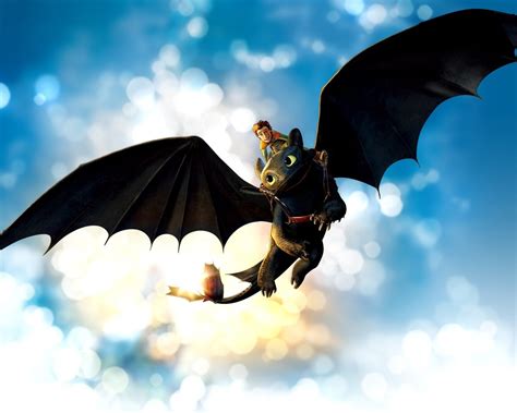 How To Train Your Dragon Cartoon Animation Film Selected Wallpaper Preview Wallpaper Com