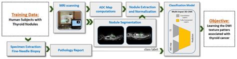 Novel Mri Based Cad System For Early Detection Of Thyroid Cancer Using Multi Input Cnn