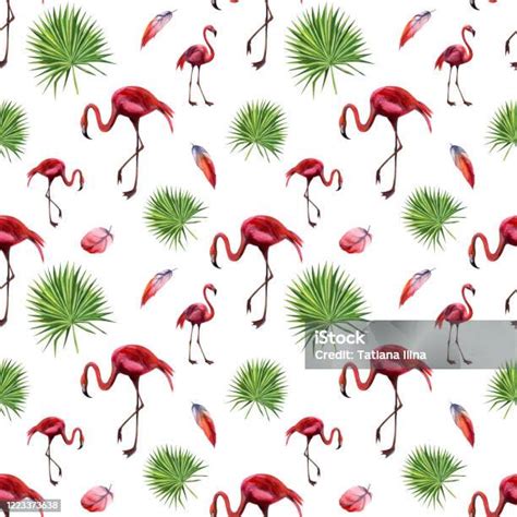 플라밍고와 수채화 원활한 패턴 손으로 그리기 장식 배경입니다 손으로 그린 수채화 그림입니다 섬유 천 벽지 스크랩북 인쇄 0명에 대한 스톡 벡터 아트 및 기타 이미지 Istock