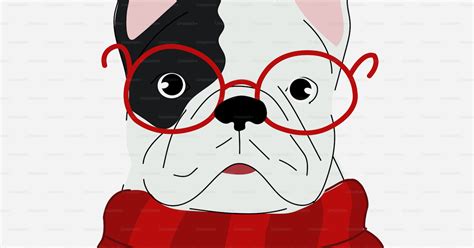 빨간 스카프와 안경을 쓴 귀여운 프렌치 불독 평면 벡터 그림입니다 흰색에 절연되어 있습니다 크리스마스 캐릭터입니다 사진 Unsplash의 플랫 디자인 이미지