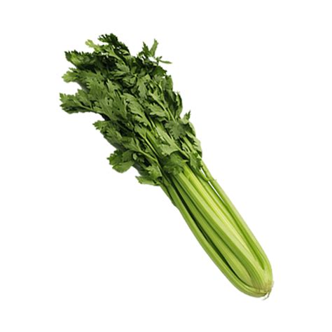 차별화상회 국내산 샐러리 상품 1kg