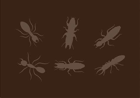 Termite Vector 108232 Vector Art At Vecteezy