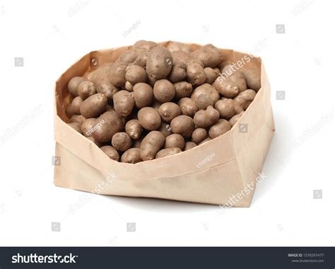 117 Jicama Seeds Images, Stock Photos & Vectors | Shutterstock