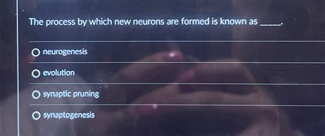 Solved The Process By Which New Neurons Are Formed Is Known