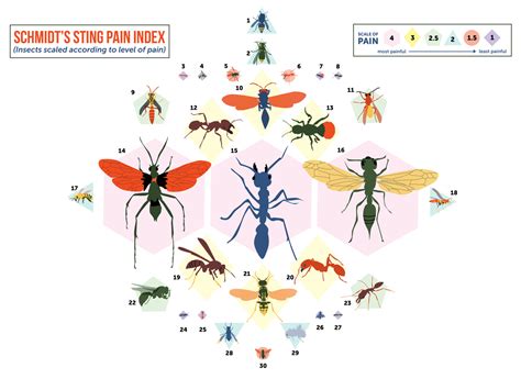 From ‘nettles To ‘volcano A Pain Scale For Insect Stings Science