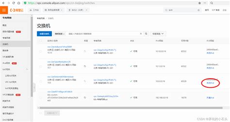 阿里云配置ecs实例的ipv6地址，开通公网ipv6 阿里云ecs ipv6 csdn博客