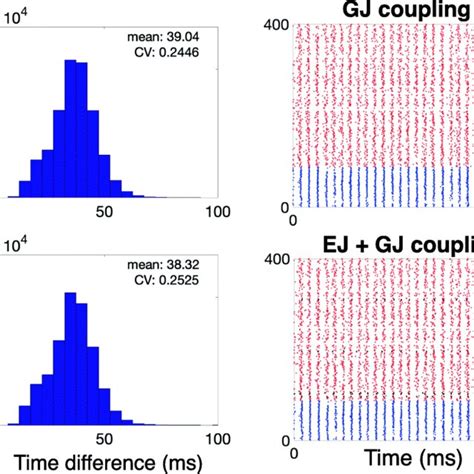 Raster Plots And Inter Spike Interval Isi Histograms For Each Of The