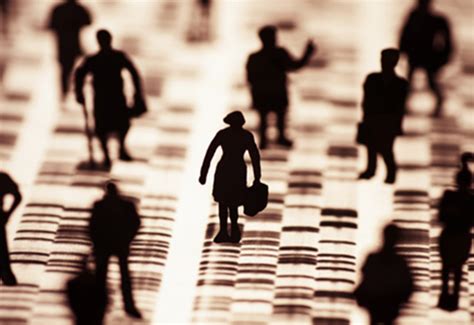 Human Snp Microarray Capitalbio