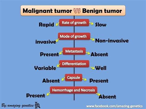 Hanaa Fayed Posted On Linkedin