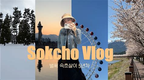 속초살이 Vlog 겨울부터 봄까지 일상 모음 속초현지인 속초가볼만한곳 속초여행 속초뚜벅이 시그니엘비채나 잠실