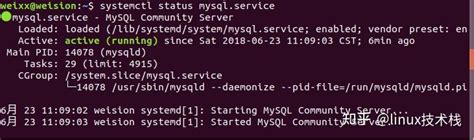 c 轻量级web并发服务器——tinywebserver 知乎