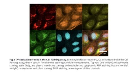 Society Of Biomolecular Imaging And Informatics On Linkedin