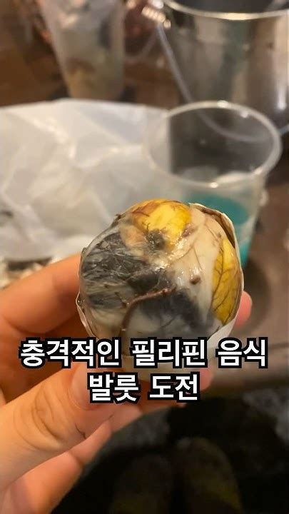 필리핀 이색 길거리 음식 발룻 Youtube