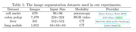 【论文笔记】医学图像分割 U Net：a Nested U Net Architectureu Net原文 Csdn博客