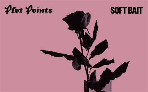 Introducing Soft Bait Rnz