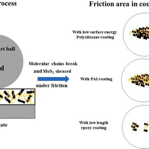 Evolution Of Friction Coefficient Versus Entrainment Speed Curves Download Scientific Diagram