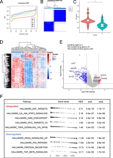 Molecular Subtype Analysis A Cumulative Distribution Function Plot