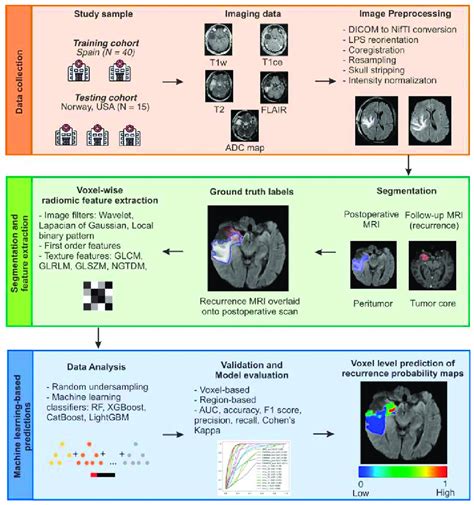 Schematic Representation Of The Analysis Workflow Download