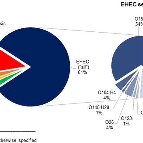 Results Of Microbiological Analysis In Patients With Stec Hus In 12
