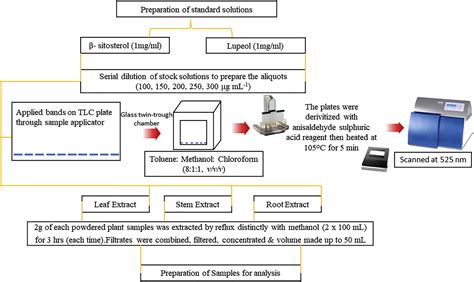 Simultaneous Densitometric Determination Of β Sitosterol And Lupeol Through Validated Hptlc