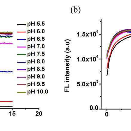A The Response Kinetic Curves Of Amplex Red Upon Reaction With Download Scientific Diagram