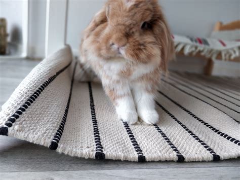 Wrong Coverage Models Result With Shoulda Matchers · Issue 638 · Simplecov Rubysimplecov · Github