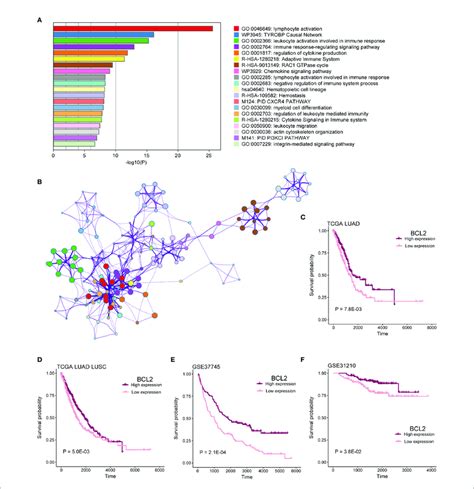 Mrnas In Co Expression Network Functional Analysis A Enrichment Download Scientific