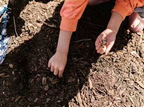 Can You Add Too Much Compost To Your Soil Garden Tips Northern Nester