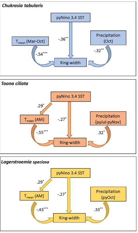 9 Path Diagram Showing The Influence Of Climatic Variables On The