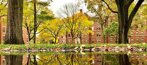 Design Your Course Teaching At The Faculty Of Arts And Sciences