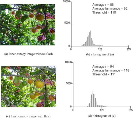 Figure 1 From A Machine Vision Algorithm Combining Adaptive