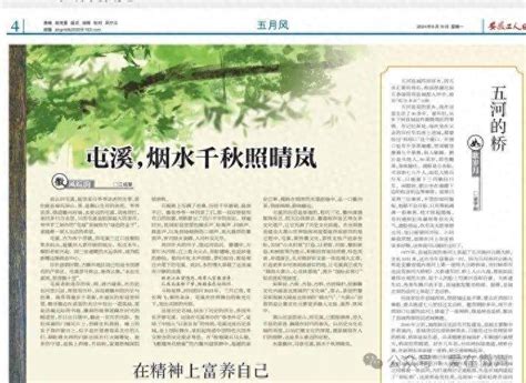 屯溪烟水千秋照晴岚520皖美夏日 徽州 历史长河 大黄山