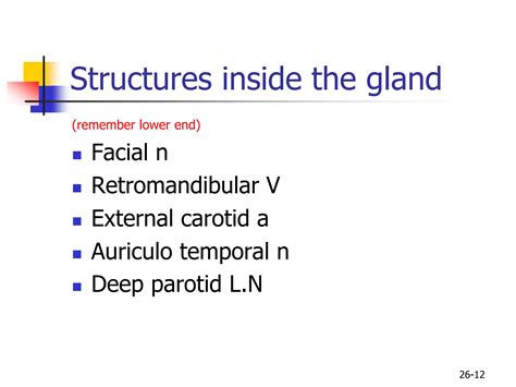 Anatomy And Embriology Of Digestive System Ppt Ppt