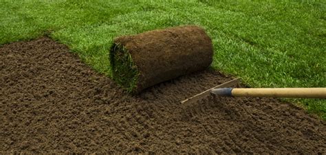 How To Lay Turf Our Turf Laying Guide