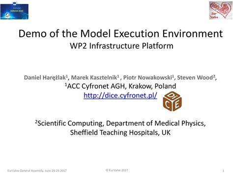 demo of the model execution environment wp2 infrastructure platform