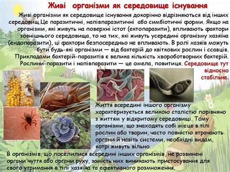 Середовища існування організмів презентация онлайн
