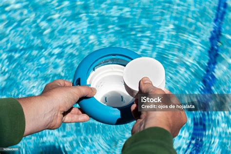 수영장 스키머에 흰색 염소 정제를 도입하는 운영자의 손 수영장 물을위한 염소 정제 염소를 가진 미생물의 발달에 대한 소독 및 예방 염소 화학에 대한 스톡 사진 및 기타